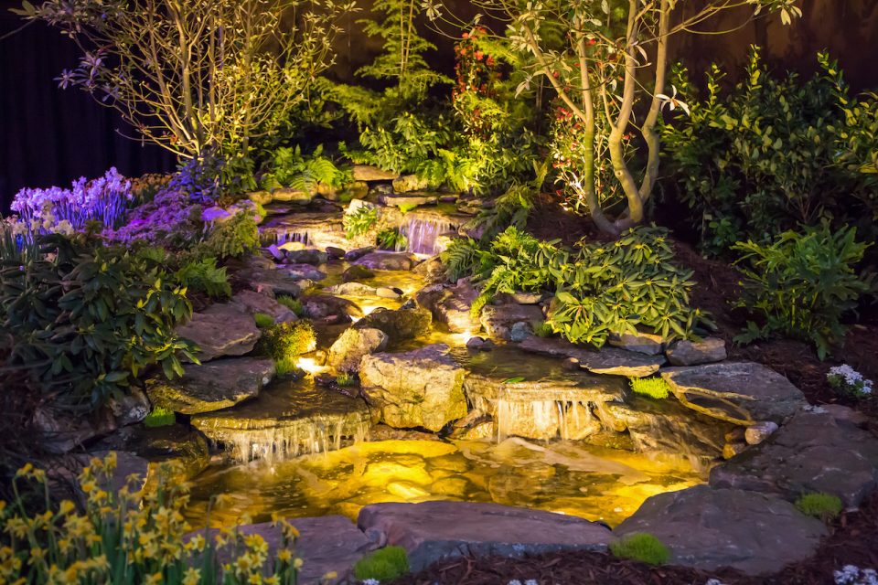 Techniques, Types, and Installation Tips for Mesmerizing Pond Lighting ...